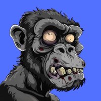 Top KOL Traders on Solana - Topwallets.ai